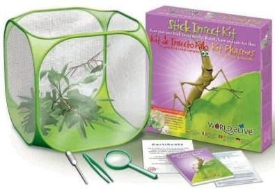 World Alive Stick Insect KIT - Fun gadgets (PER.998545) : e-shop.cy